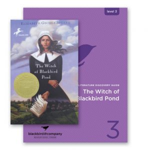 The Witch of Blackbird Pond – Bundle – Blackbird and Company