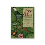 Taxonomy of Living Things: The Five Kingdoms – Bundle – Blackbird and ...