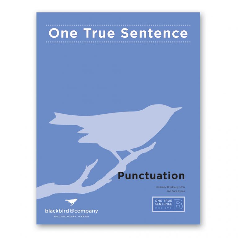Punctuation – One True Sentence “B” – Bundle – Blackbird and Company