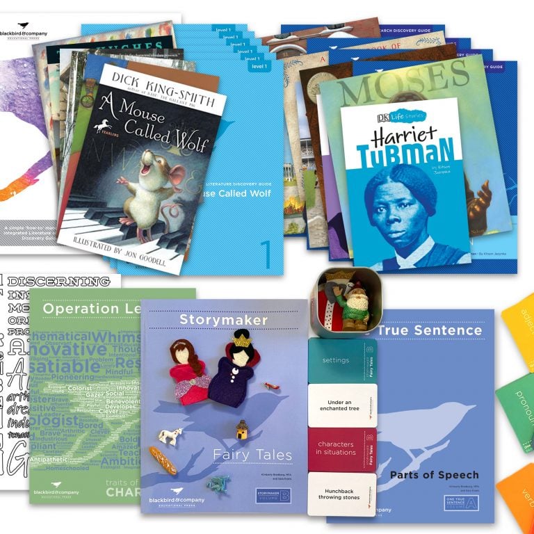 3rd Grade Collection – Blackbird and Company