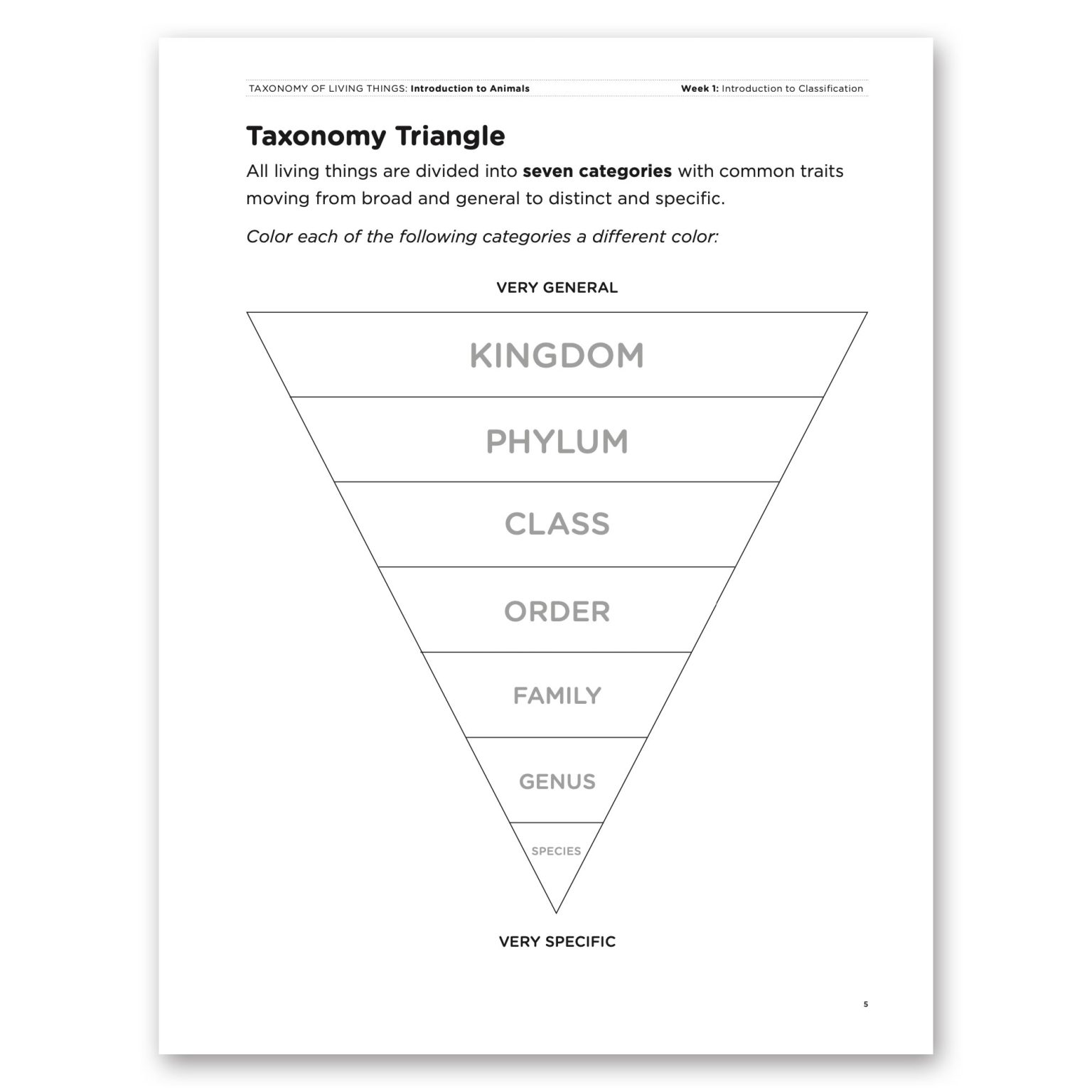 Taxonomy of Living Things: Introduction to Animals – Bundle – Blackbird ...