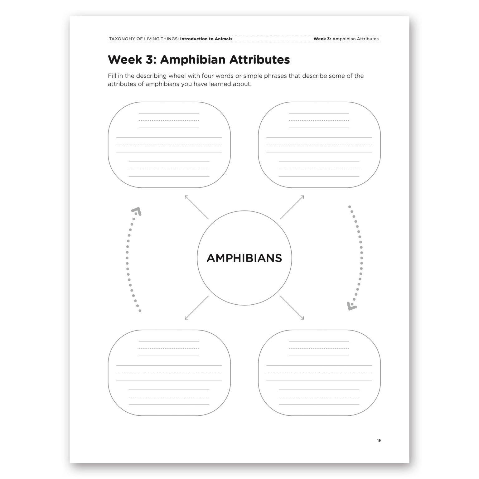 Taxonomy of Living Things: Introduction to Animals – Bundle – Blackbird ...