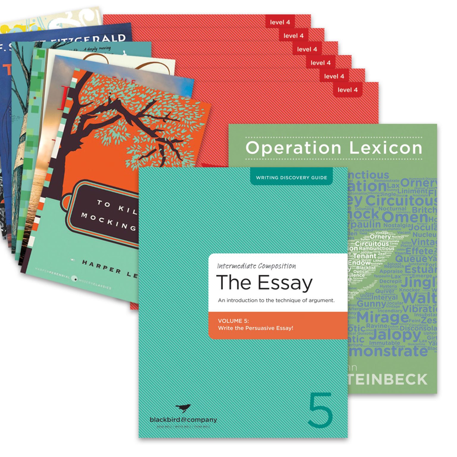 10th Grade Collection – Blackbird and Company